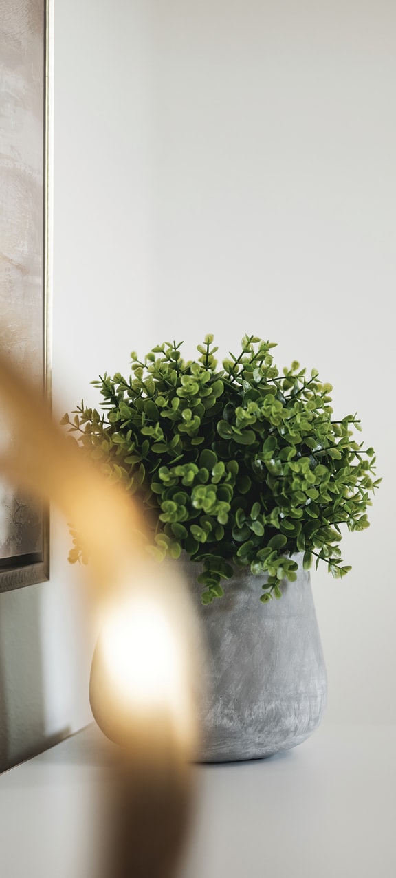 Luxury Apartments in Louisville, KY | Livano Springdale