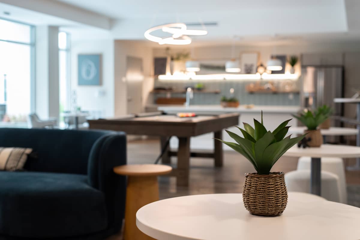 Studio, 1 & 2 Bedroom Residences at NOVI | Apartments in Concord NC