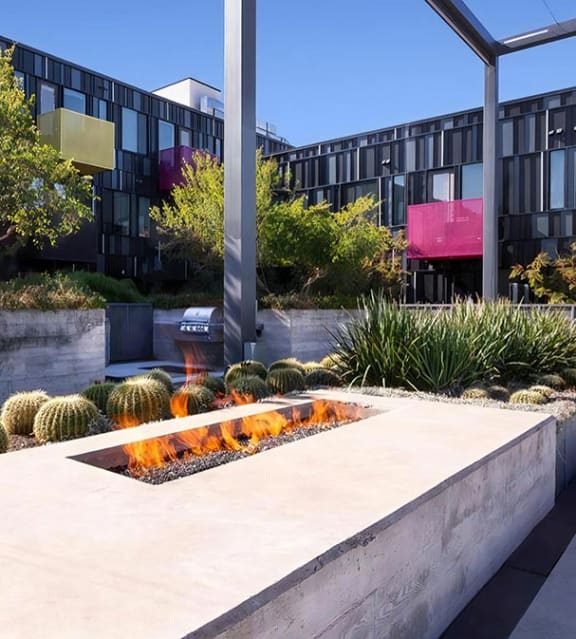 Austin, TX Luxury Apartments | Amenities | Lamar Union