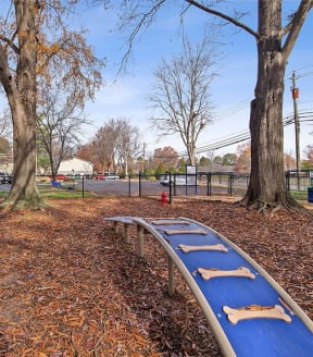 Tree Top | Apartments in Raleigh, NC