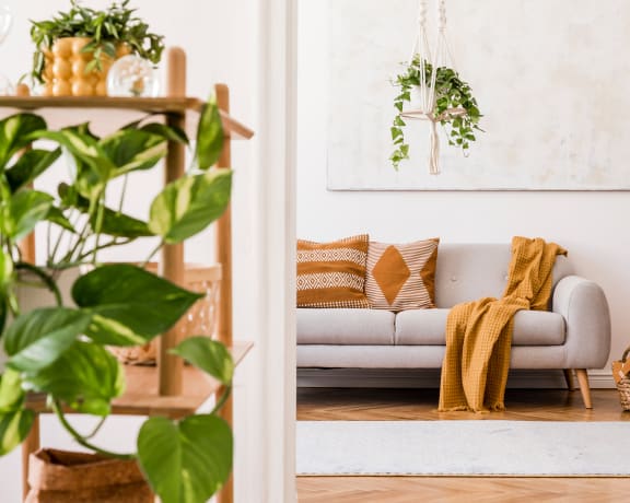 MDXL Flats | Apartments in Washington, DC