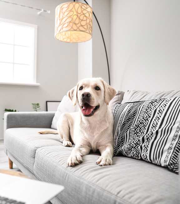 Apartments Port Orchard | Plisko Place