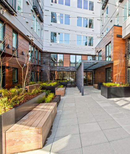 Luxury Apartments in Roosevelt, Seattle | Corner 63
