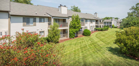 Adams Farm Apartments in Greensboro, NC | The Madison at Adams Farm