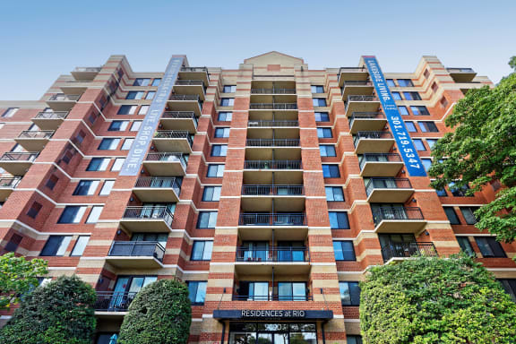 Apartments in Gaithersburg, MD | Residences at Rio