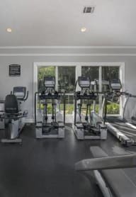 St Petersburg, Florida Apartments | Promenade at Carillon