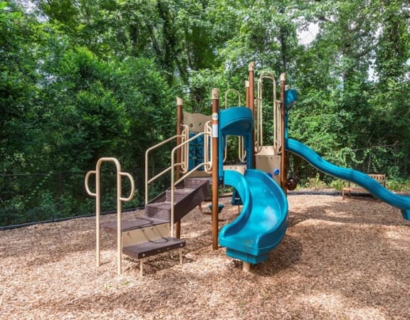 Celebration at Sandy Springs | Apartments in Sandy Springs, GA