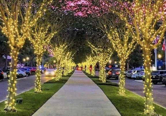 Vida Winter Garden | Apartments in Winter Garden, FL