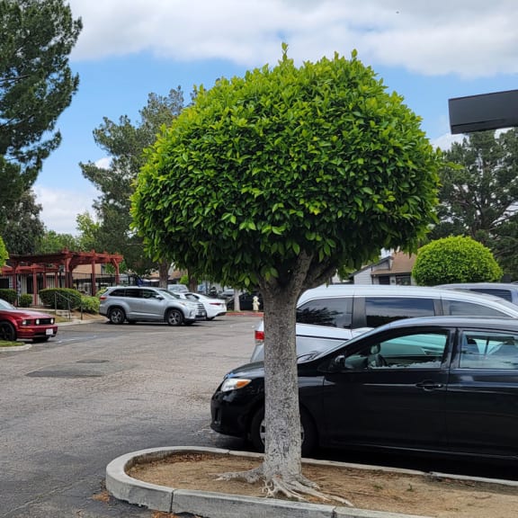 Dove Ridge Apartments | Apartments in Riverside, CA