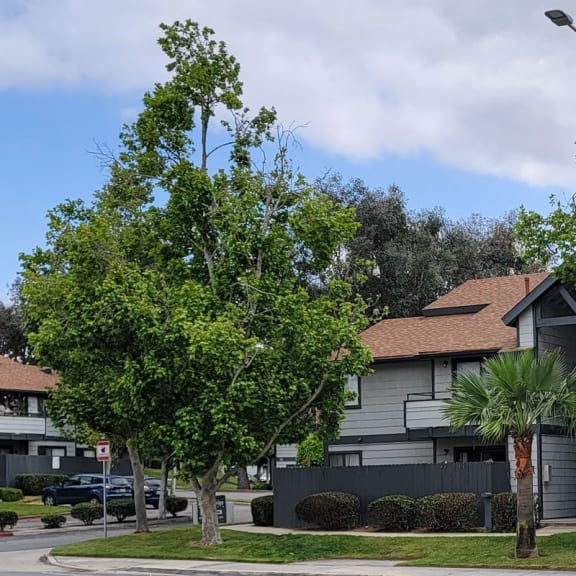 Dove Ridge Apartments | Apartments in Riverside, CA