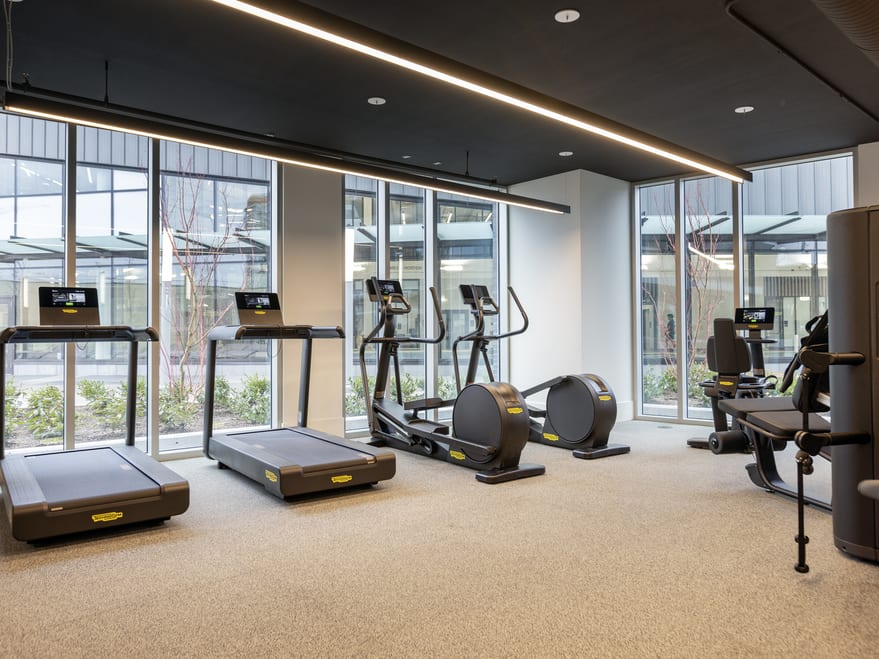 55One | Coquitlam Rentals