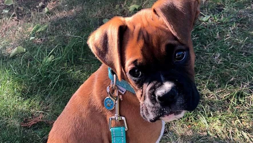 Luxury Apartments in Manchester | Vox Manchester