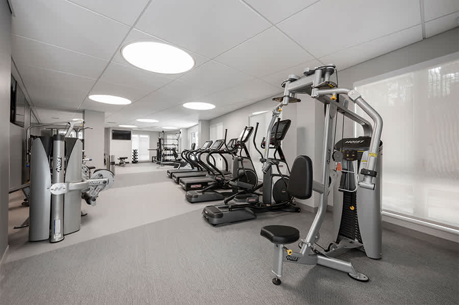 Jamaica Plain Apartments Boston | Velo Forest Hills