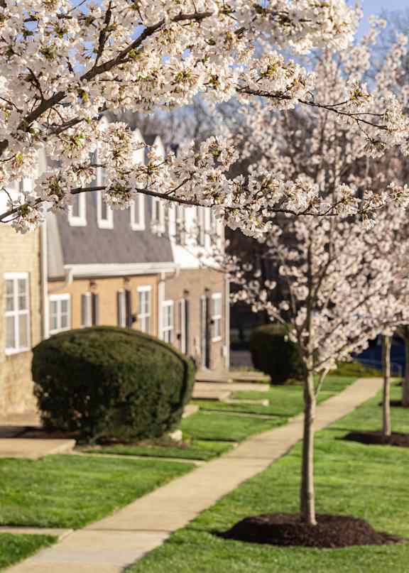 Chadwick Manor Townhomes | Apartments in Windsor Mill, MD