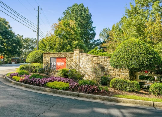 Photos and Video of ReNew Sugar Hill in Sugar Hill, GA