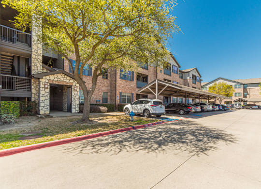 Photos and Video of The Cesera in Garland, TX