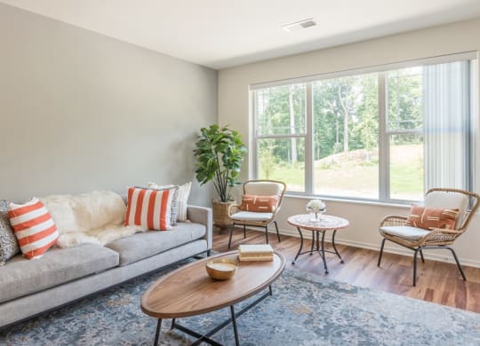 Photos and Video of The Meridian in Decatur, GA