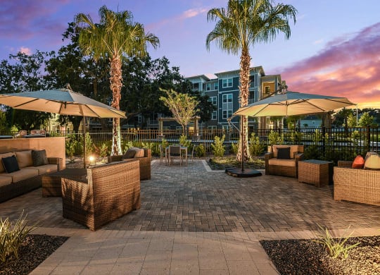 Photos and Video of Dunedin Commons Apartments in Dunedin, FL