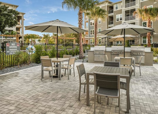 Photos and Video of Dunedin Commons Apartments in Dunedin, FL