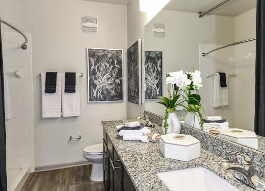 Photos and Video of Dunedin Commons Apartments in Dunedin, FL