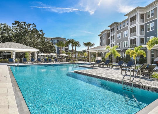 Photos and Video of Dunedin Commons Apartments in Dunedin, FL