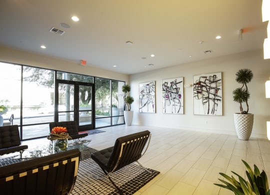 Photos and Video of Muse at Museum District in Houston, TX