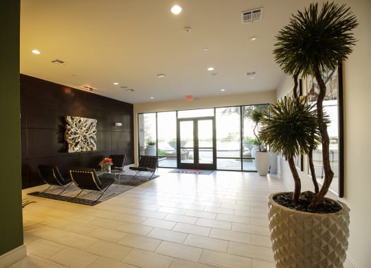 Photos and Video of Muse at Museum District in Houston, TX