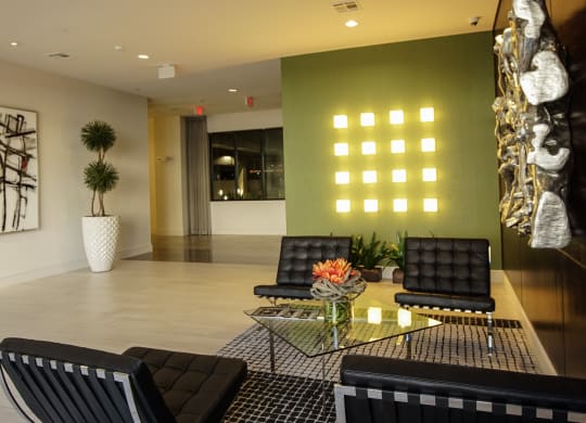 Photos and Video of Muse at Museum District in Houston, TX