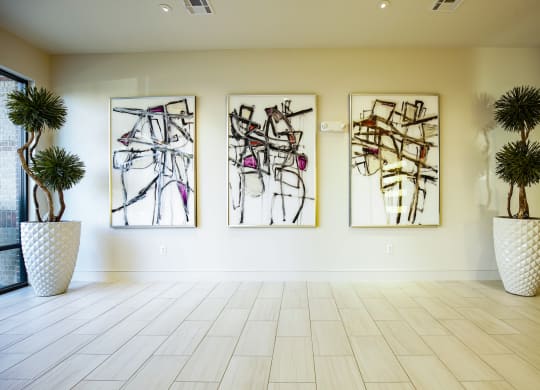 Photos and Video of Muse at Museum District in Houston, TX