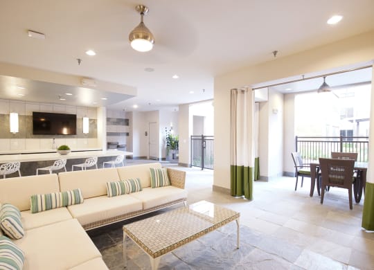 Photos and Video of Muse at Museum District in Houston, TX