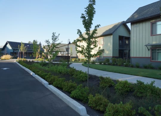 Photos and Video of Willakenzie Crossing in Eugene, OR