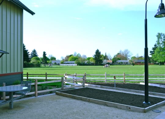 Photos and Video of Willakenzie Crossing in Eugene, OR