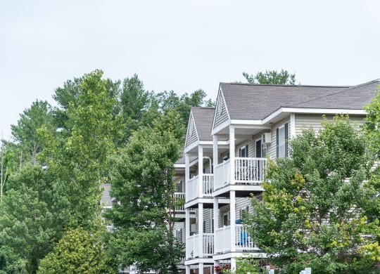 Photos and Video of Carlton Oaks in Salem, NH