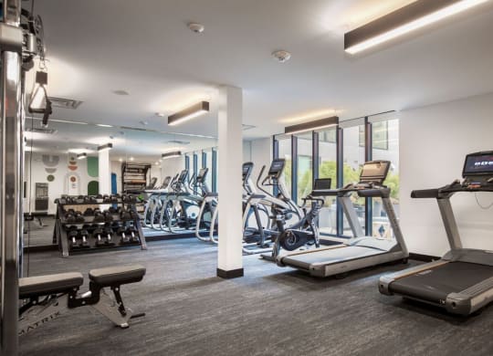 Photos and Video of Alice House in Oakland, CA