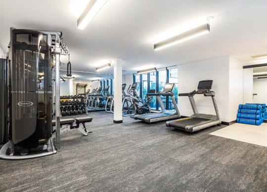 Photos and Video of Alice House in Oakland, CA