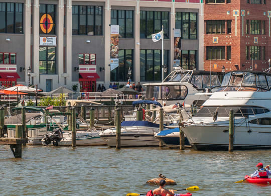 Photos and Video of The Porter Del Ray in Alexandria, VA