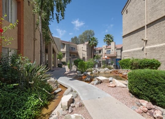 Photos and Video of Crystal Creek in Phoenix, AZ