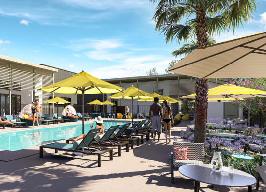 Photos and Video of The Offset in Sacramento, CA