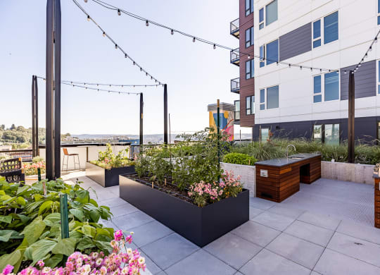 Photos and Video of Mason and Main in Seattle, WA