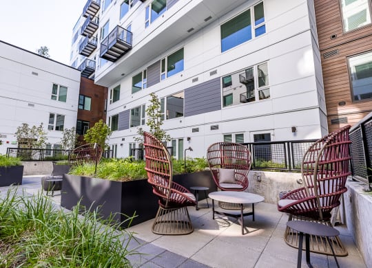 Photos and Video of Mason and Main in Seattle, WA