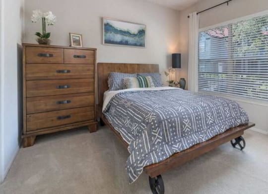 Apartments near Eckerd College | Photos | Promenade at Carillon