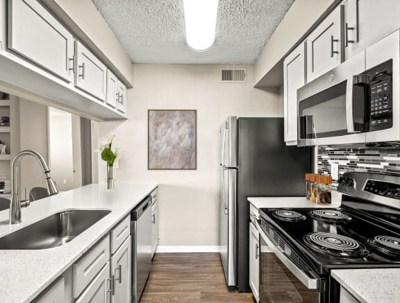 Stassney at SoCo | Apartments in Austin, TX