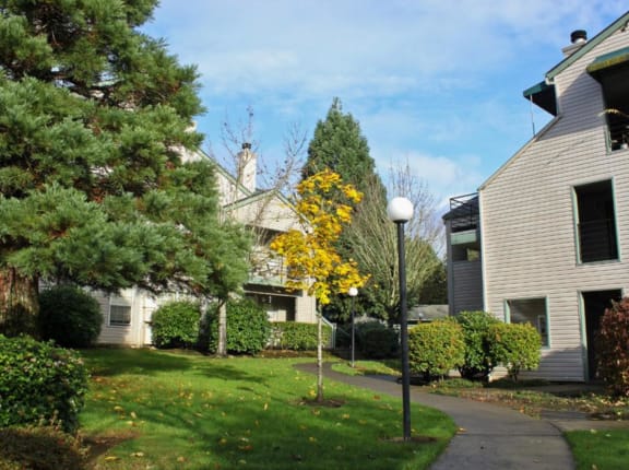 Photos and Video of Hampton Ridge Apartments in Tigard, OR