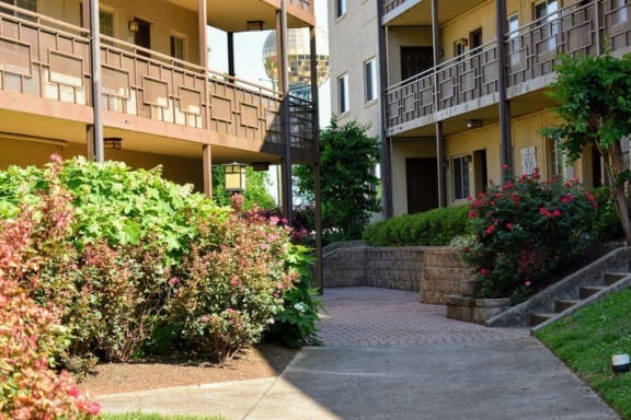 Photos and Video of Maplehurst in Knoxville, TN