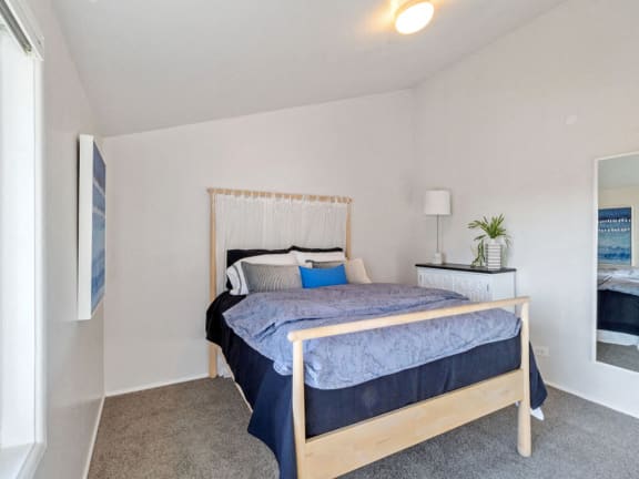 Photos and Video of Vesty Park in Denver, CO