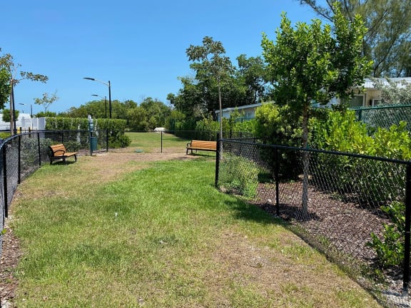 Photos and Video of The Quarry in Key West, FL