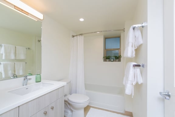 Photos and Video of Kanekapolei Collection in Honolulu, HI