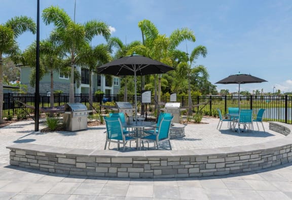 Photos and Video of The Addison on Long Bayou in Seminole, FL