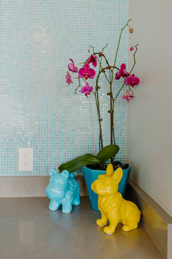 Apartments for Rent in Golden Valley, Minnesota | Hello Apartments