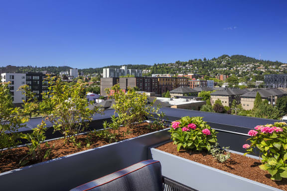 Photos and Video of Slabtown Flats in Portland, OR